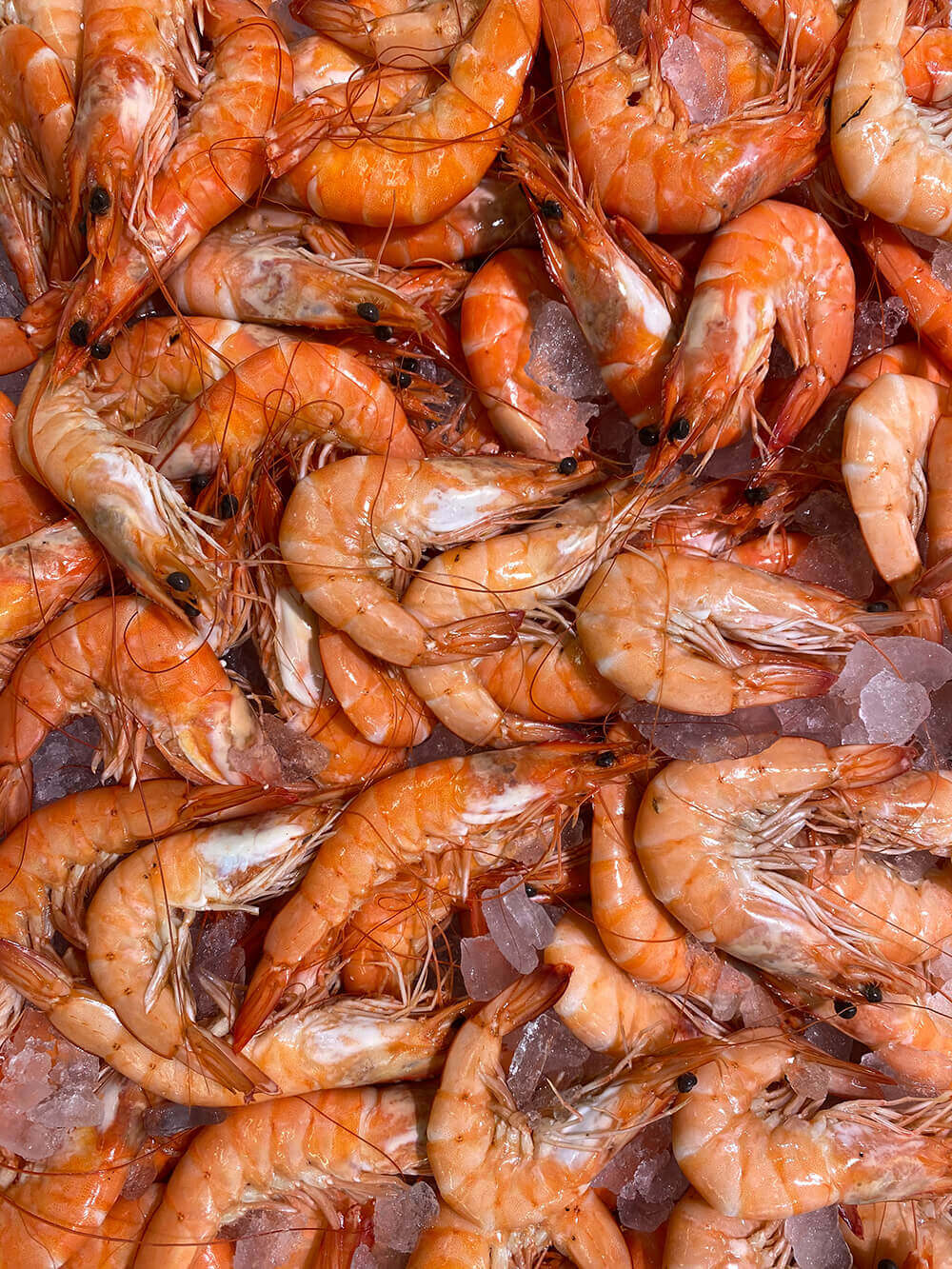 Gamba Taco’s in Toebackbeslag - Scheldebrouwerij